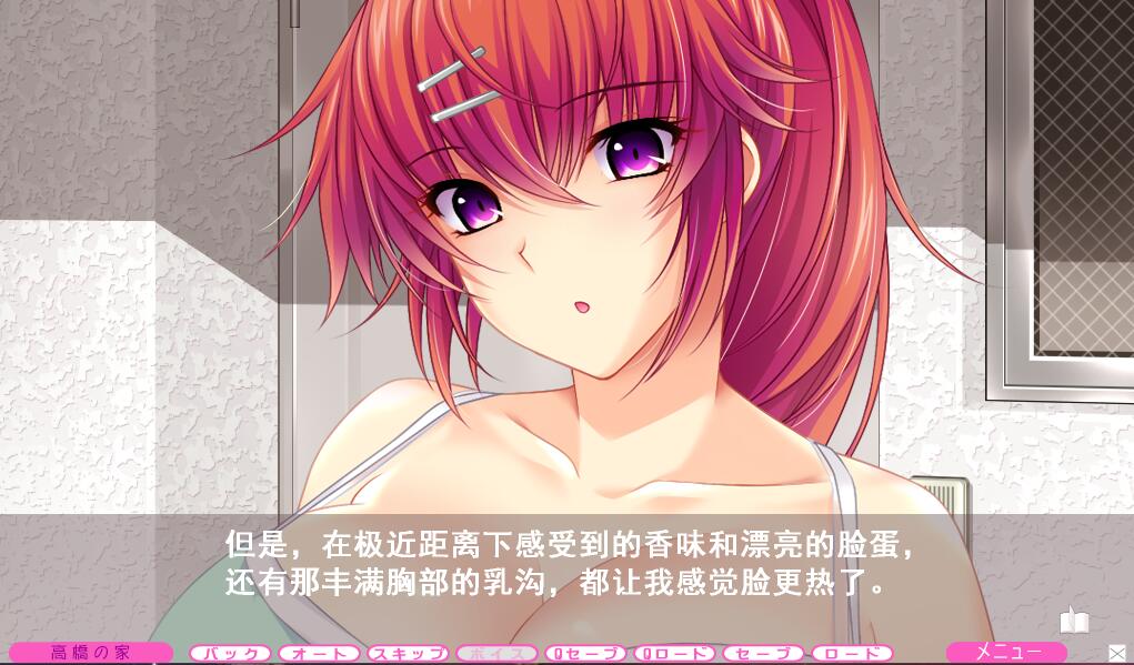 【新汉化作品】[アトリエかぐや Honky Tonk Pumpkin] お姉さん×shuffle！ 汉化硬盘版[鸡饭屋汉化组][2 7g