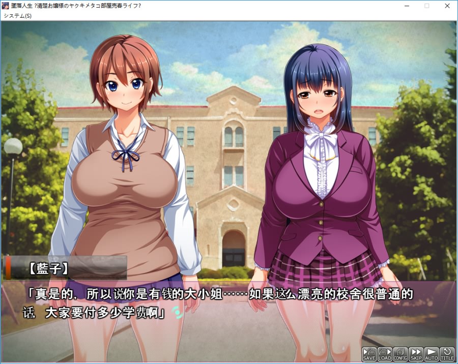 【新汉化作品】【原创】[pin Point] 墜落人生～清楚お嬢様のヤクキメタコ部屋売春ライフ～汉化硬盘版 [匿名村民凑合汉化] [628mb